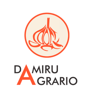 Garma Garlic – Productores de ajos